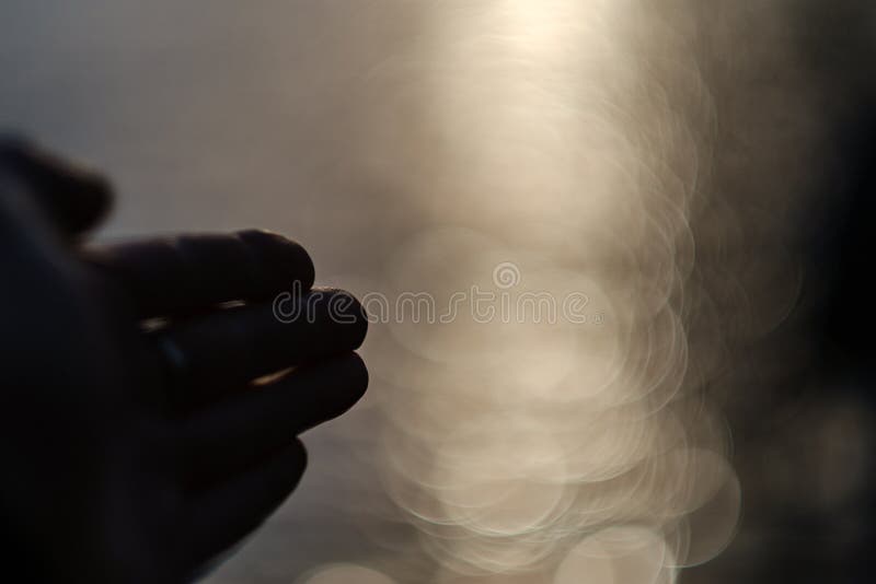 Male Hand Showing Direction in Forest Stock Image - Image of mist ...
