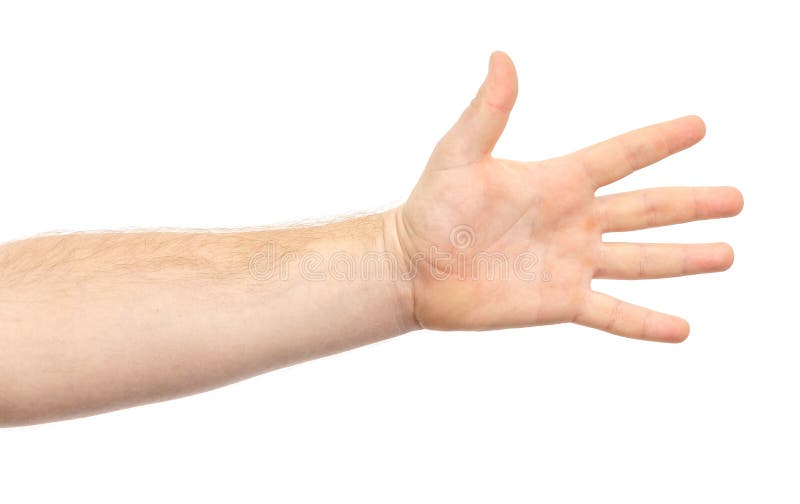 Pulling Hands stock photo. Image of sport, success, pulling - 8584238