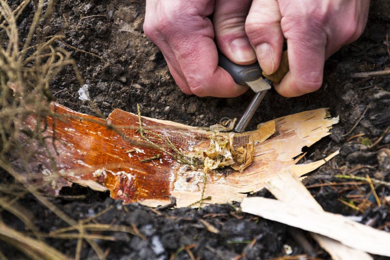 Male Hand Starts Fire with Magnesium Fire Steel, Fire Striker Stock ...