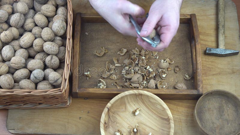 Male Hands Clean Nuts with a Nut Cracker. Close-up. Walnut in Shell Top ...