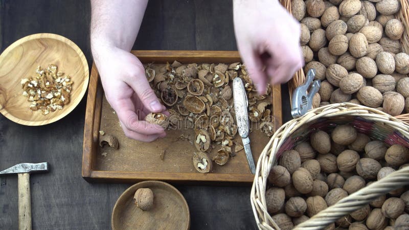 Male Hands Clean Nuts with a Nut Cracker. Close-up. Walnut in Shell Top ...