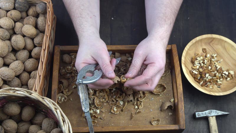 Male Hands Clean Nuts with a Nut Cracker. Close-up. Walnut in Shell Top ...