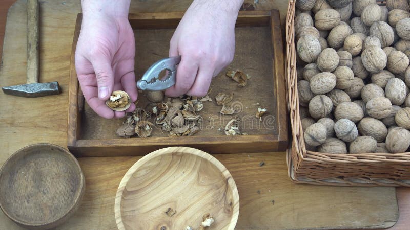 Male Hands Clean Nuts with a Nut Cracker. Close-up. Walnut in Shell Top ...