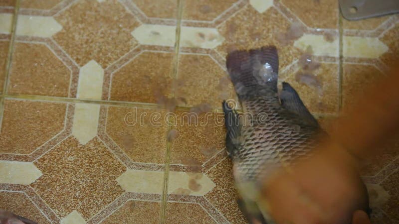 Male Hands Purified from Fish Guts and Washed in Stock Footage - Video ...