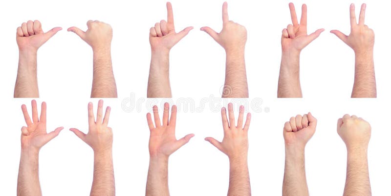 Male hands counting stock photo. Image of collage, number - 8417046