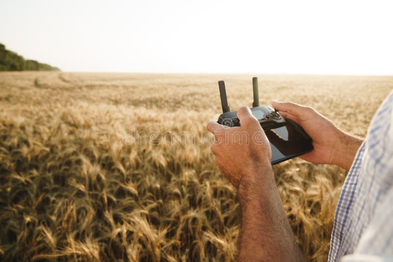 Male Hands Holding Remote Controller of Quadcopter in Wheat Field Stock ...