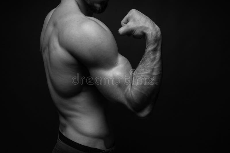 Male hands stock image. Image of exercising, healthy - 35264283