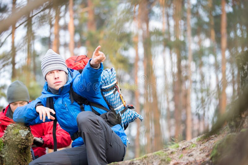 Pointing the Way in a Forest Stock Image - Image of leisure, outside ...