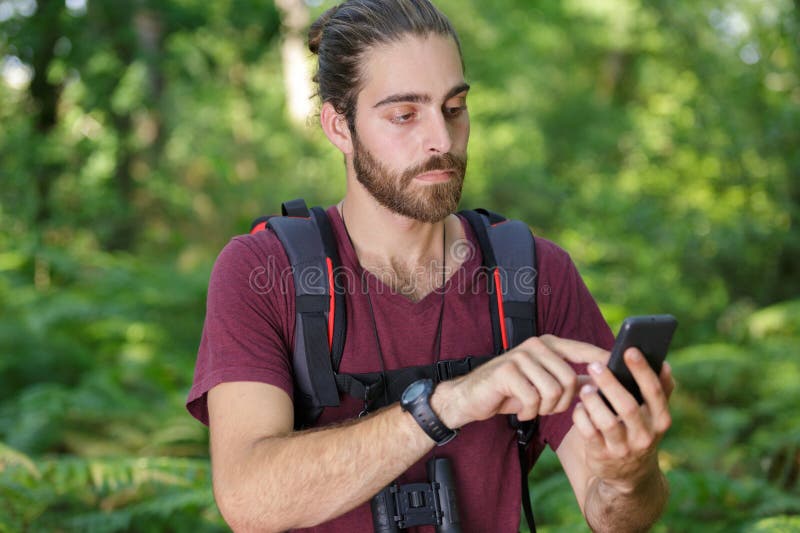 Male Hiker Using Mobile Phone in Forest Stock Image - Image of hiker ...