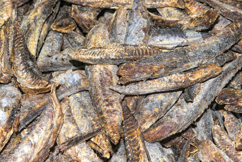 Male india fish market stock image. Image of diet, india - 52130179