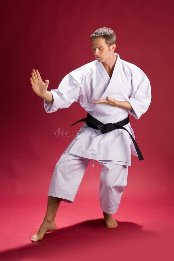 Karate male instructor stock image. Image of youthful - 5920339