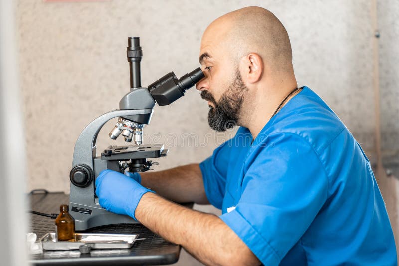 Male Laboratory Assistant Examining Biomaterial Samples in a Microscope ...