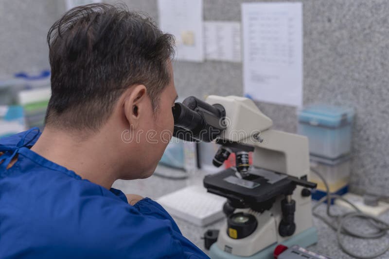 A Male Laboratory Technician or Microbiologist Checking a Cultured ...