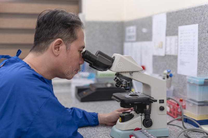A Male Laboratory Technician or Microbiologist Checking a Cultured ...