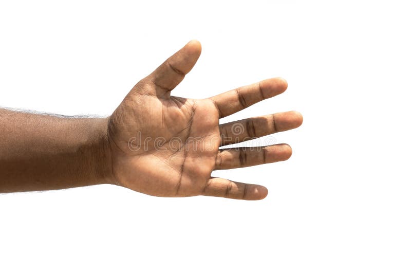 Male Left Hand with Five Fingers Close Up Isolated on White Background ...