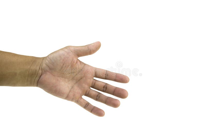 Male Left Hand Isolated on White Background Stock Photo - Image of hand ...