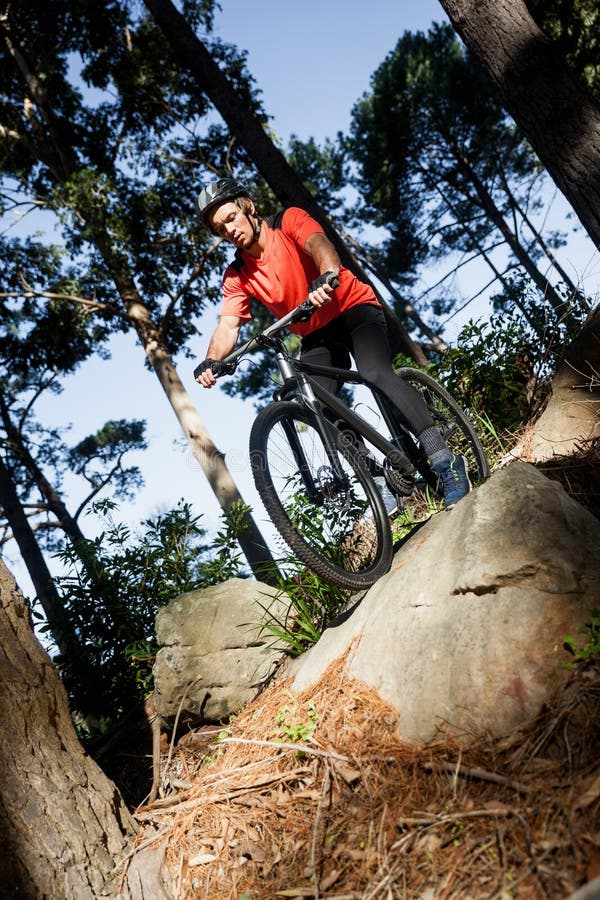 Exhausted Male Mountain Biker Relaxing on a Tree Trunk in the Forest ...