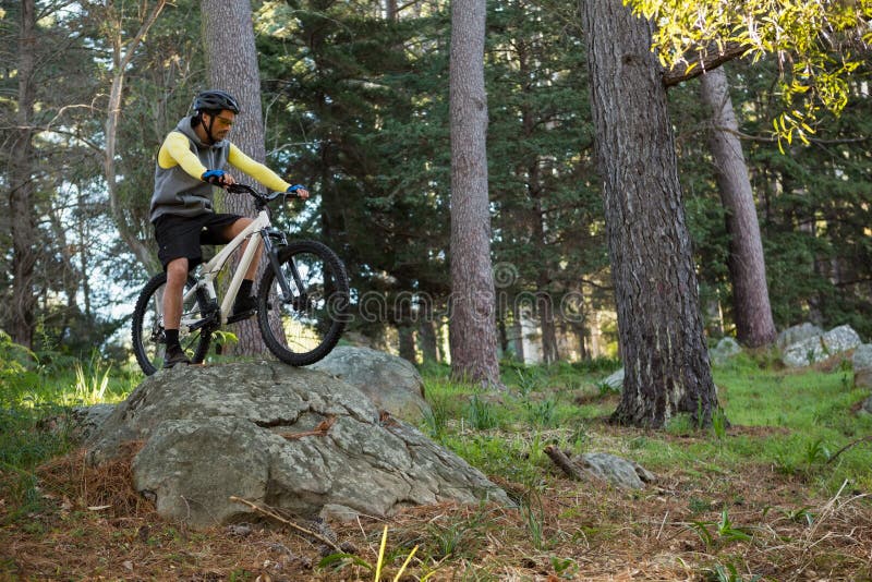 Male Mountain Biker Riding Bicycle in the Forest Stock Photo - Image of ...