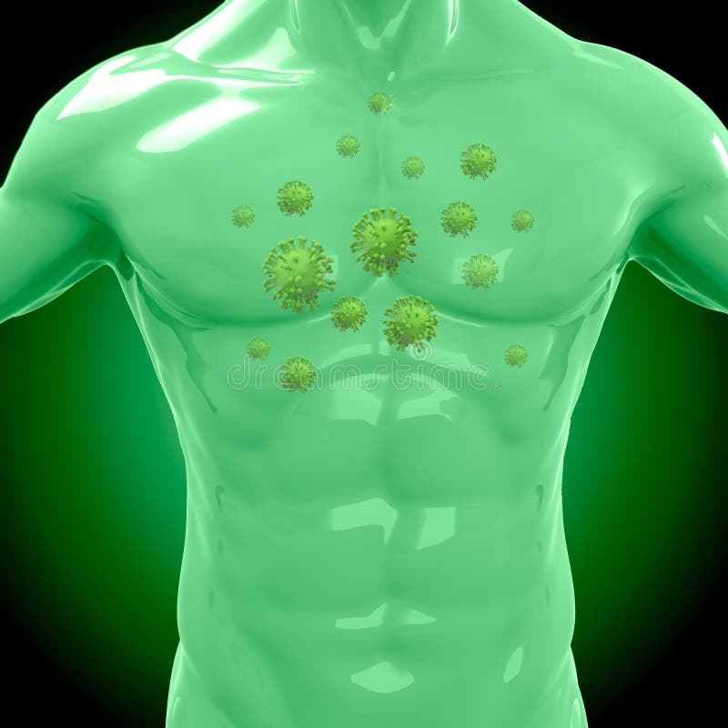 Male Muscle - 3D stock illustration. Illustration of body - 199145194