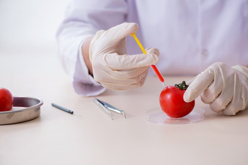 Male Nutrition Expert Testing Food Products in Lab Stock Image - Image ...