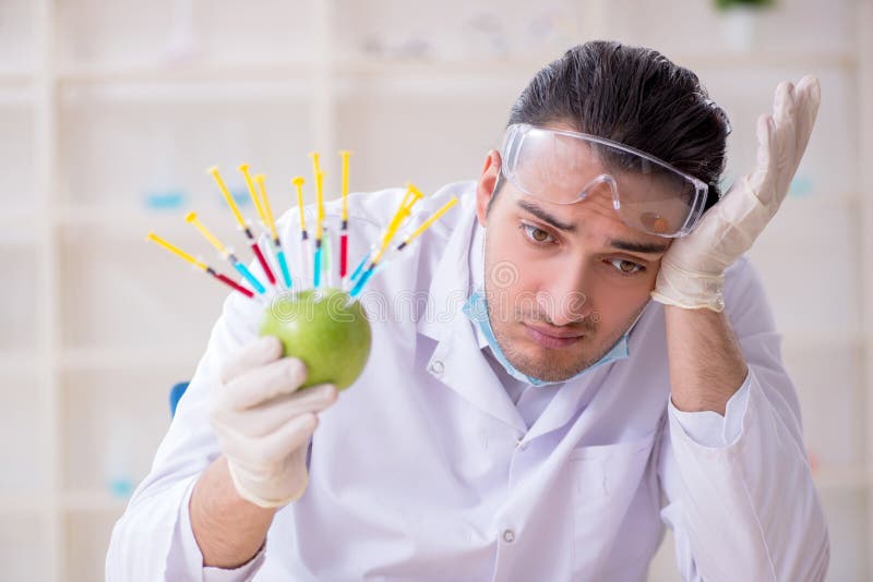 Male Nutrition Expert Testing Food Products in Lab Stock Image - Image ...