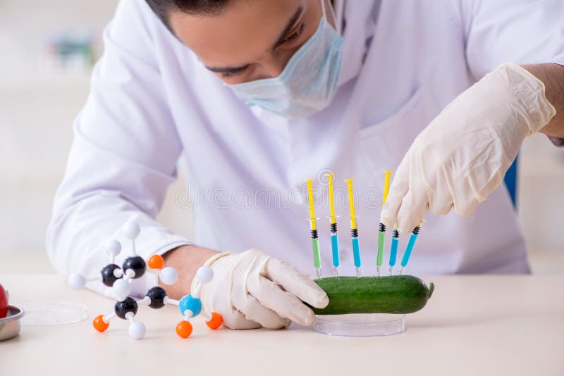 Male Nutrition Expert Testing Food Products in Lab Stock Photo - Image ...
