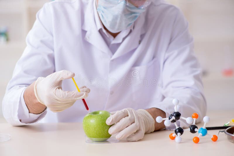 Male Nutrition Expert Testing Food Products in Lab Stock Image - Image ...