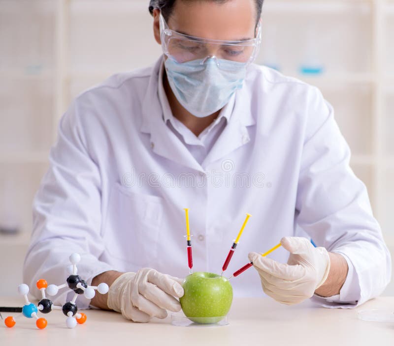 Male Nutrition Expert Testing Food Products in Lab Stock Image - Image ...