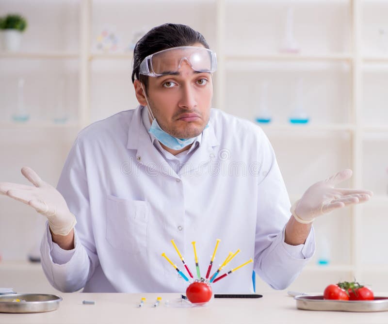 Male Nutrition Expert Testing Food Products in Lab Stock Image - Image ...