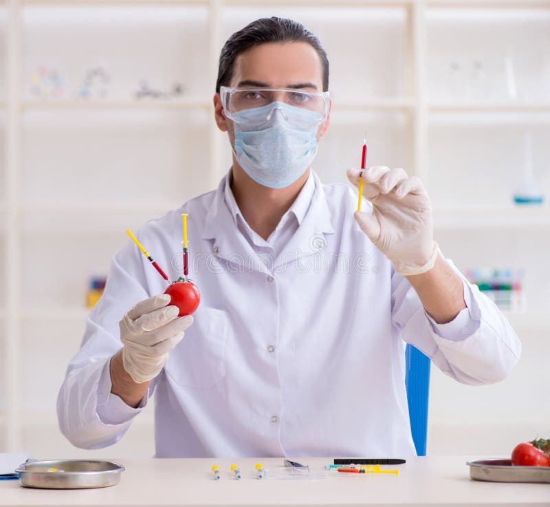 Male Nutrition Expert Testing Food Products in Lab Stock Image - Image ...