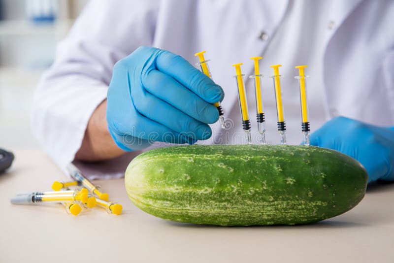 Male Nutrition Expert Testing Vegetables in Lab Stock Image - Image of ...