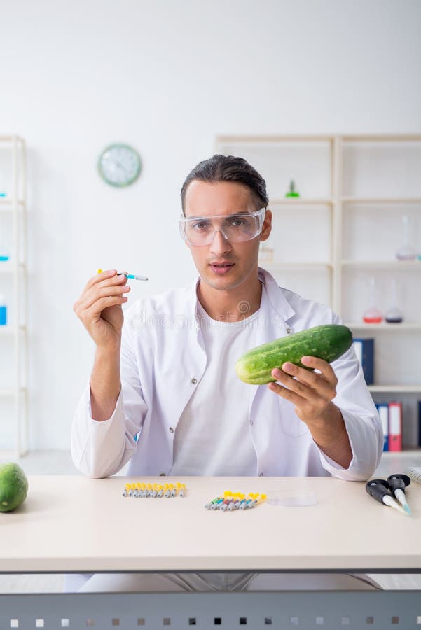 Male Nutrition Expert Testing Vegetables in Lab Stock Photo - Image of ...