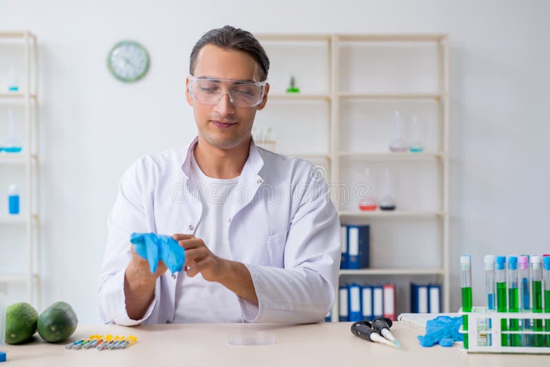 Male Nutrition Expert Testing Vegetables in Lab Stock Photo - Image of ...