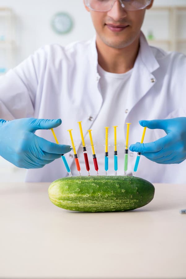 Male Nutrition Expert Testing Vegetables in Lab Stock Photo - Image of ...