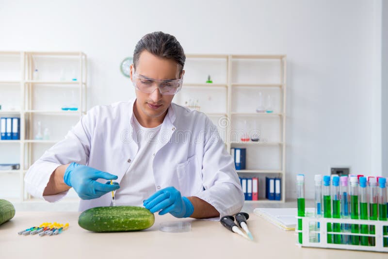 Male Nutrition Expert Testing Vegetables in Lab Stock Photo - Image of ...