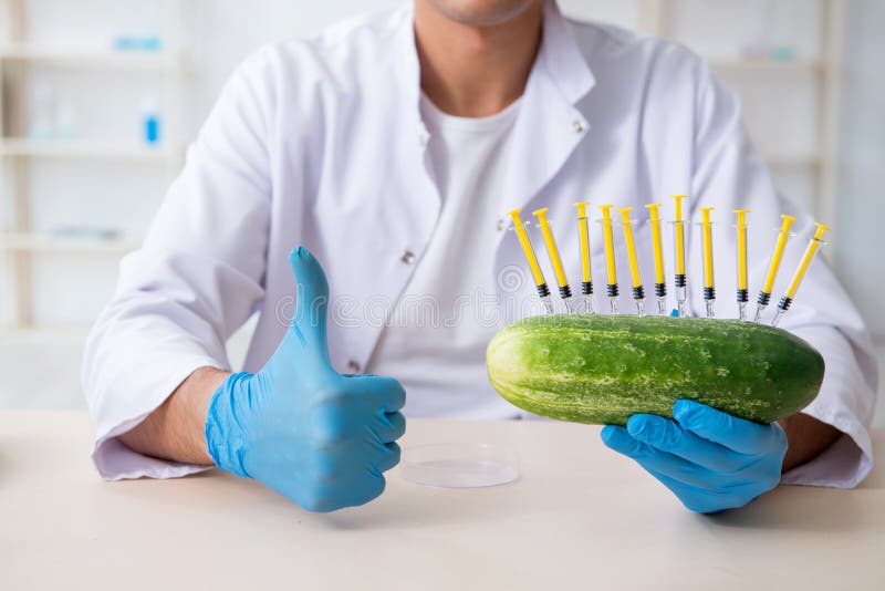 Male Nutrition Expert Testing Vegetables in Lab Stock Photo - Image of ...