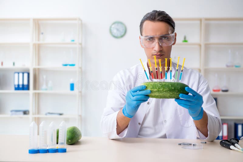 Male Nutrition Expert Testing Vegetables in Lab Stock Image - Image of ...