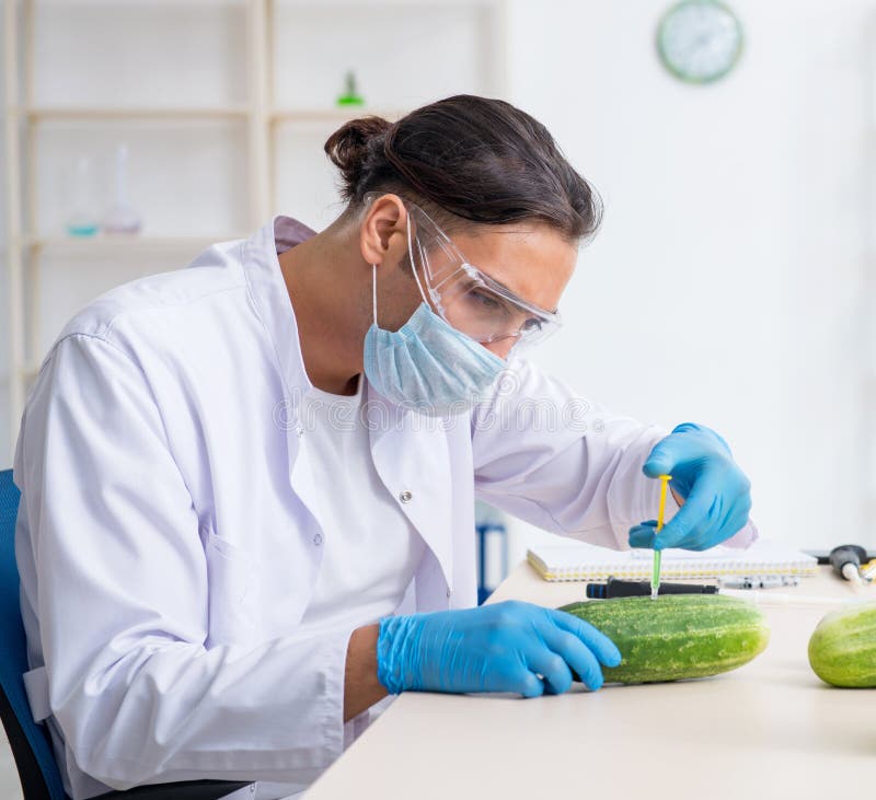 Male Nutrition Expert Testing Vegetables in Lab Stock Photo - Image of ...