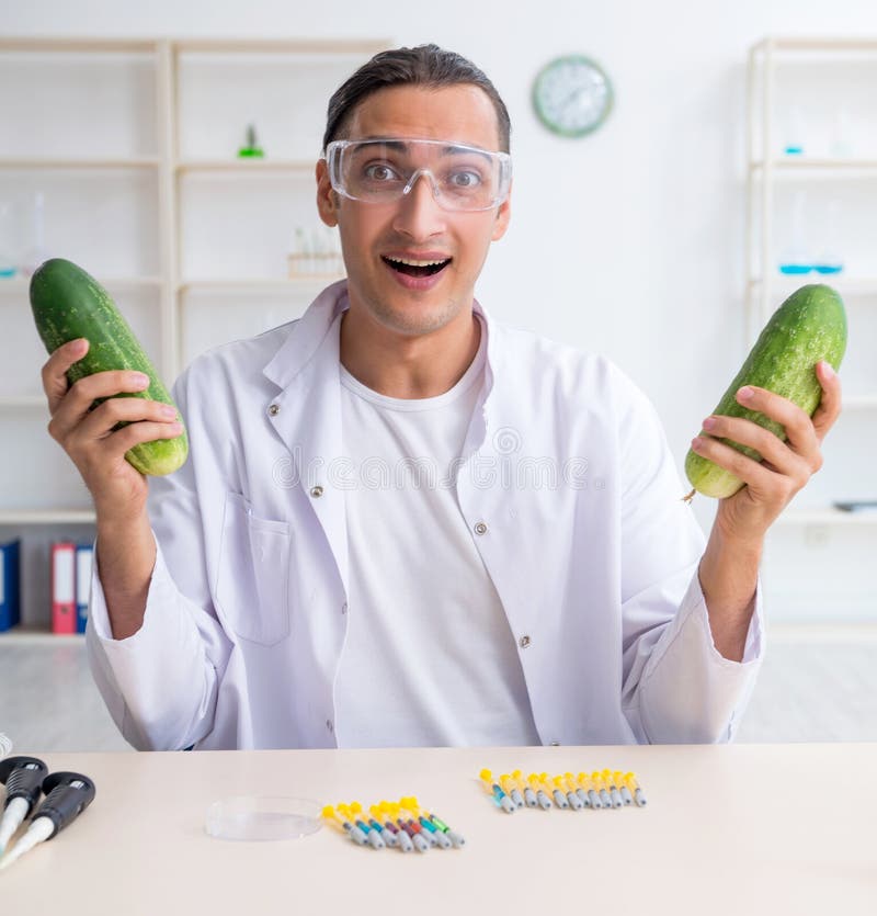 Male Nutrition Expert Testing Vegetables in Lab Stock Photo - Image of ...