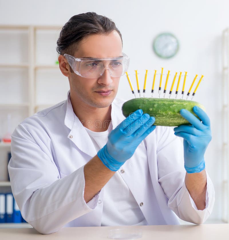Male Nutrition Expert Testing Vegetables in Lab Stock Image - Image of ...