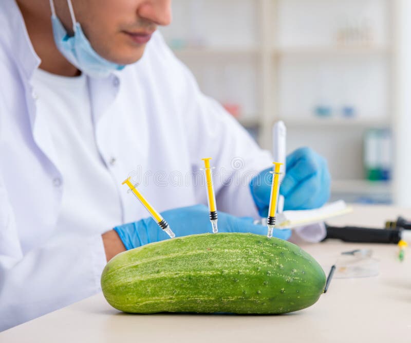 Male Nutrition Expert Testing Vegetables in Lab Stock Image - Image of ...