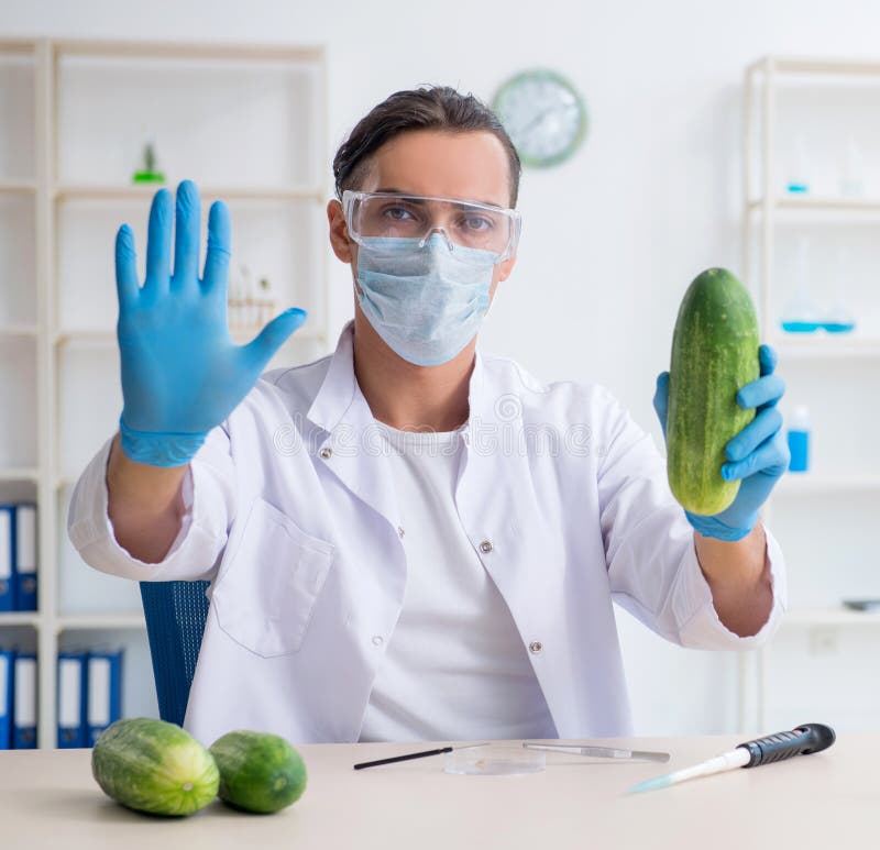 Male Nutrition Expert Testing Vegetables in Lab Stock Photo - Image of ...