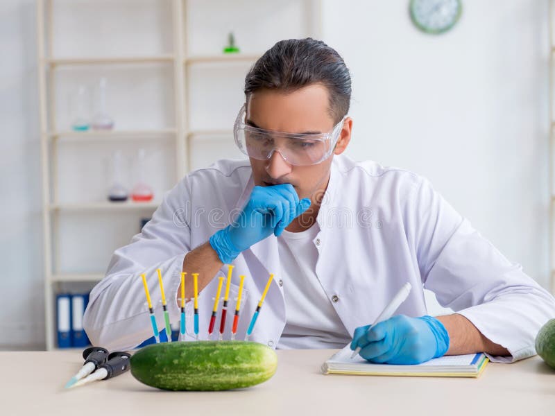 Male Nutrition Expert Testing Vegetables in Lab Stock Photo - Image of ...