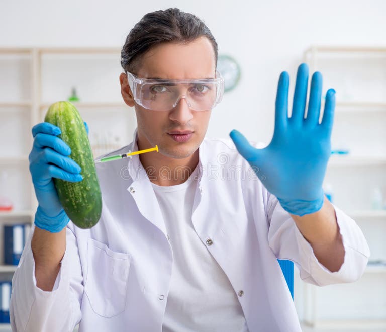 Male Nutrition Expert Testing Vegetables in Lab Stock Photo - Image of ...