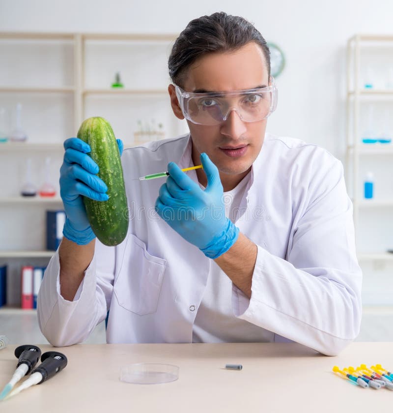 Male Nutrition Expert Testing Vegetables in Lab Stock Photo - Image of ...