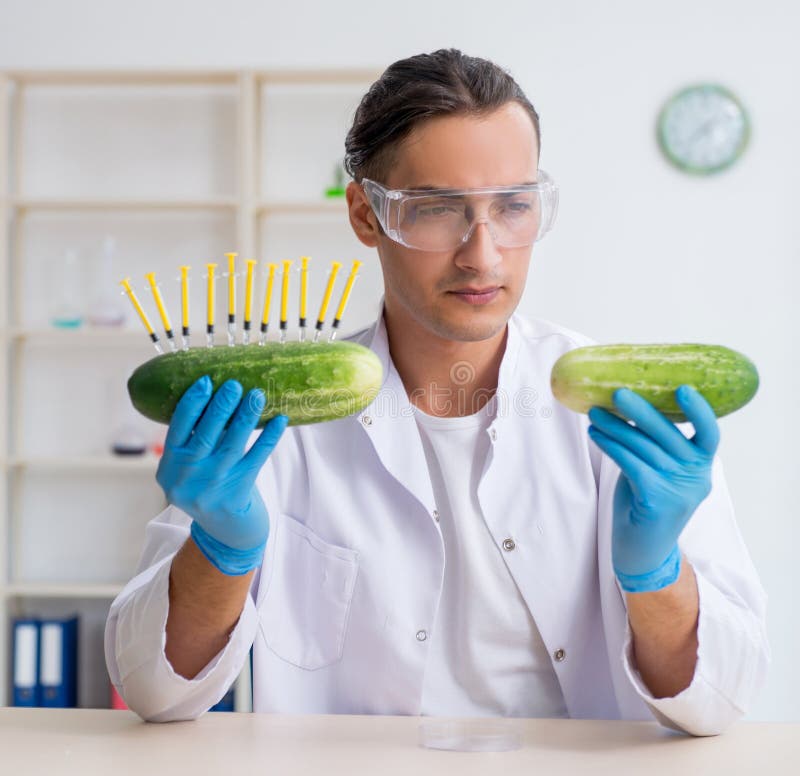 Male Nutrition Expert Testing Vegetables in Lab Stock Photo - Image of ...