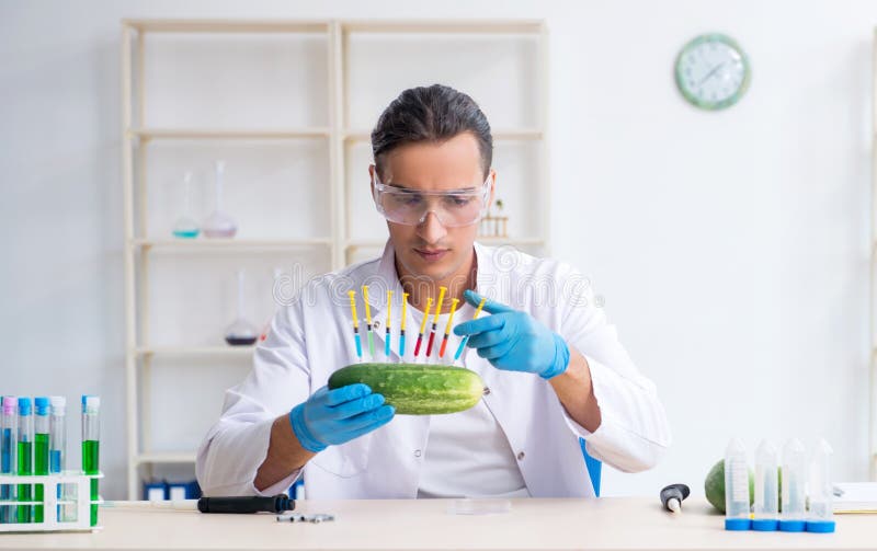 Male Nutrition Expert Testing Vegetables in Lab Stock Photo - Image of ...