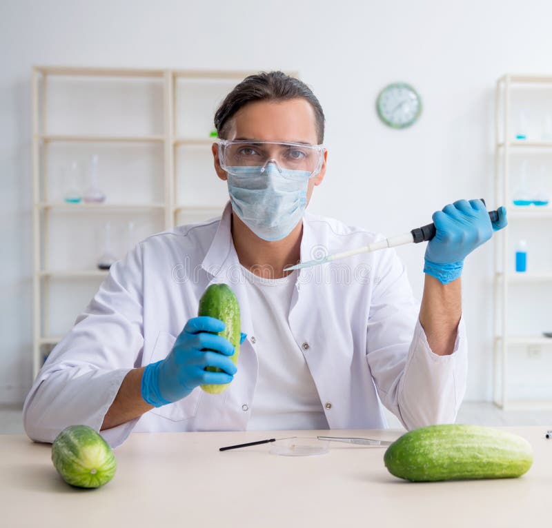 Male Nutrition Expert Testing Vegetables in Lab Stock Photo - Image of ...