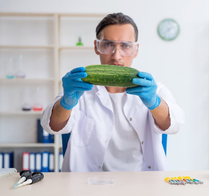 Male Nutrition Expert Testing Vegetables in Lab Stock Image - Image of ...