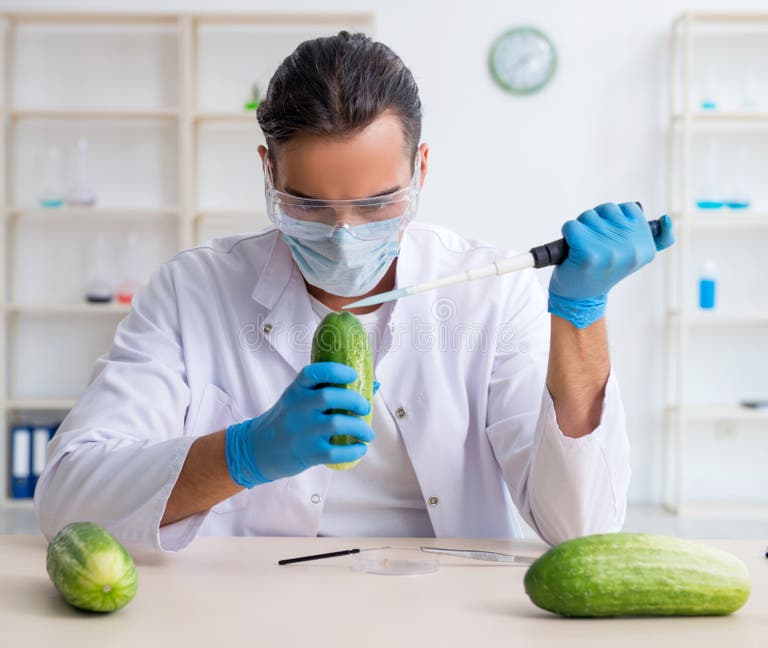 Male Nutrition Expert Testing Vegetables in Lab Stock Image - Image of ...
